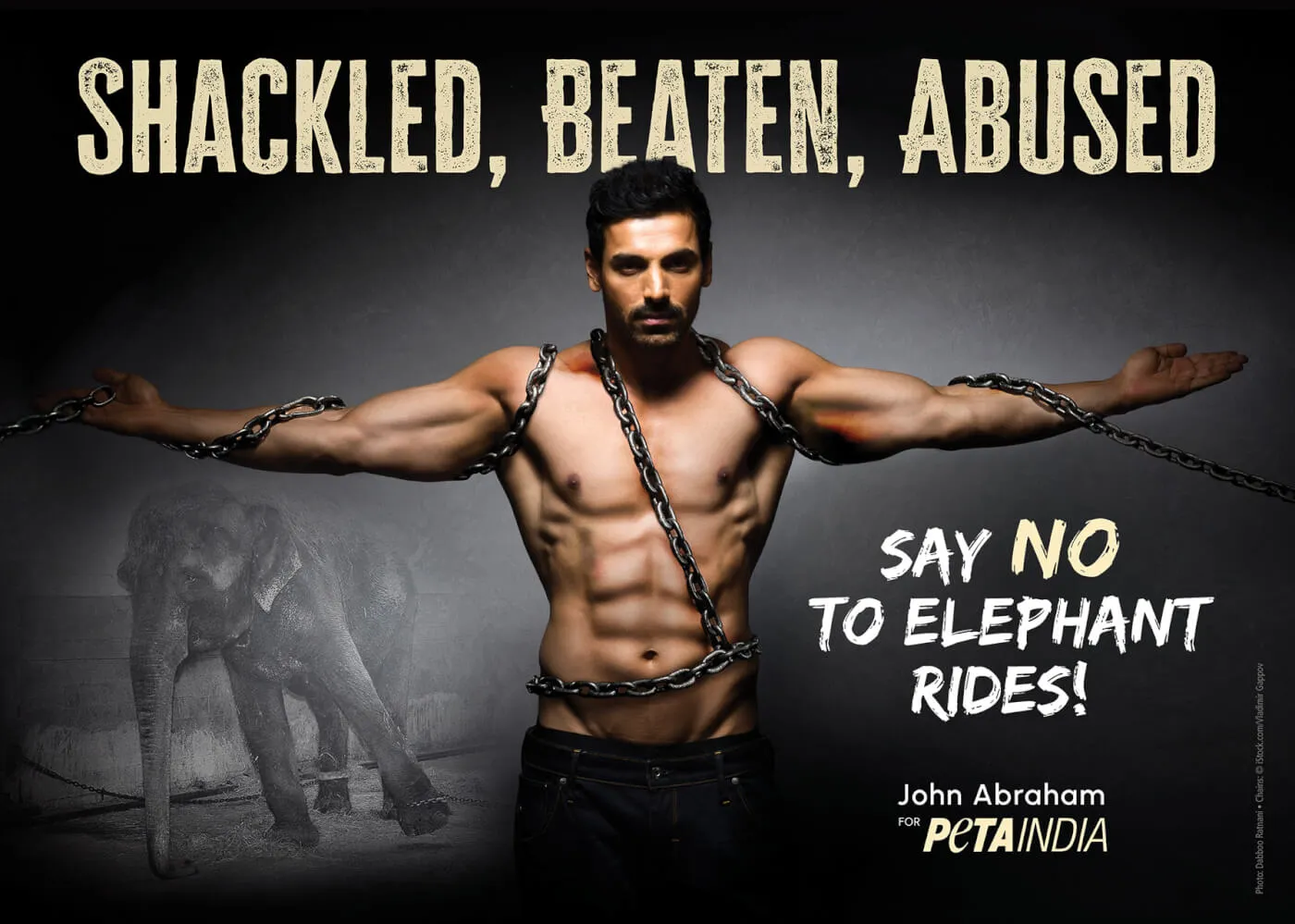 John Abraham ‘Shackled’, ‘Beaten’, and ‘Abused’ in PETA India Campaign ...