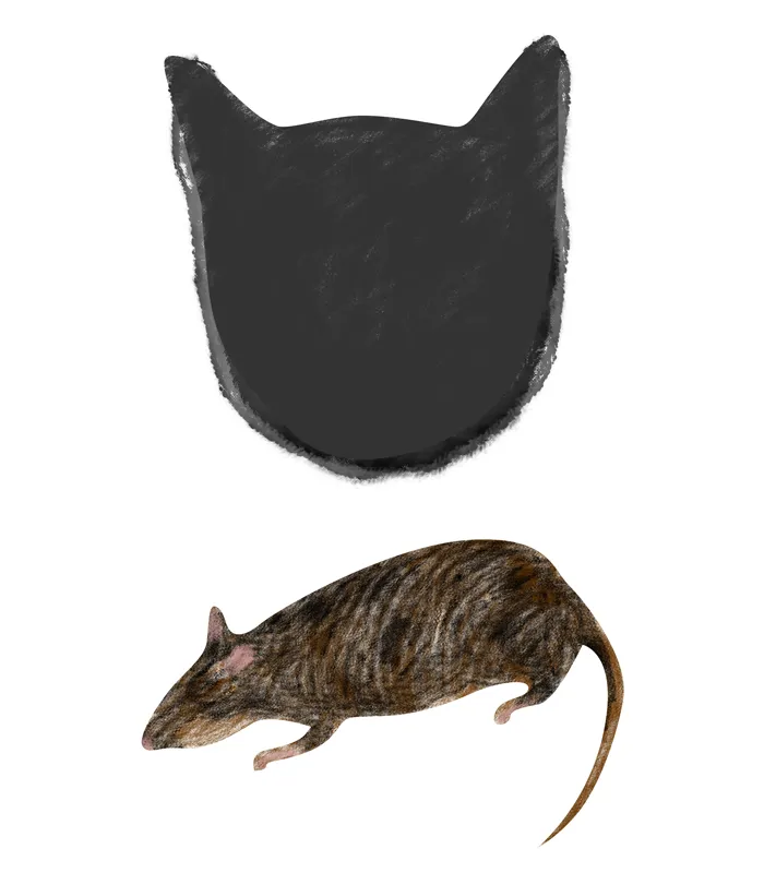 മരണത്തെക്കുറിച്ച് മൂന്ന്