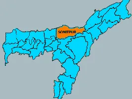 Ten killed as attackers fire at Assam village