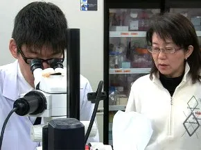 World's first lab grown stem cells implanted