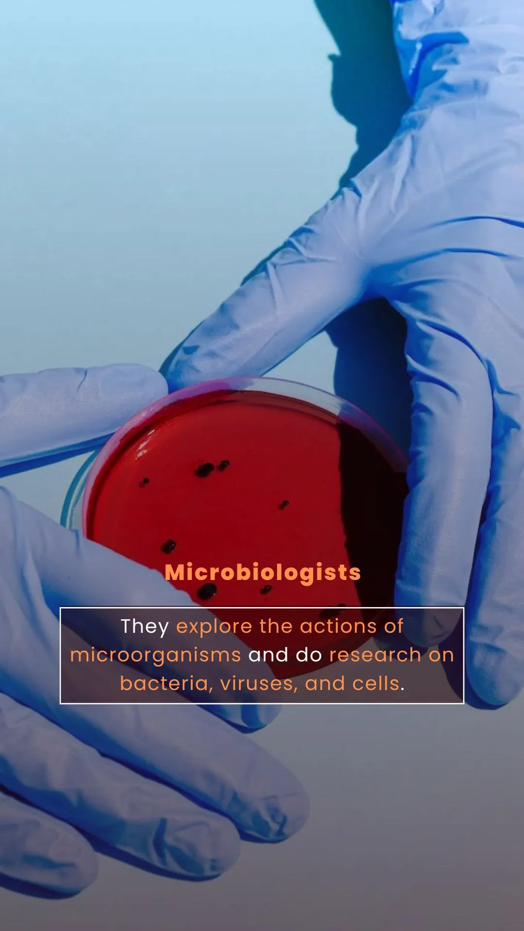 Career Opportunities in Biotechnology