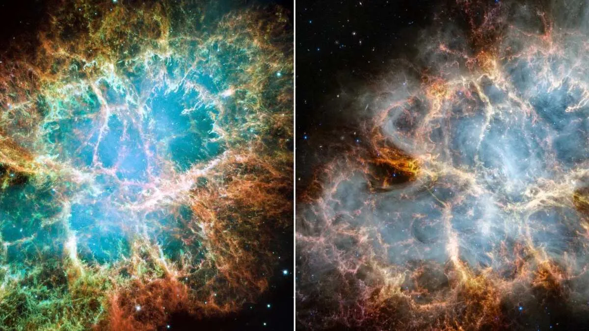 Oh, Crab! James Webb reveals never-before-seen details of Crab Nebula