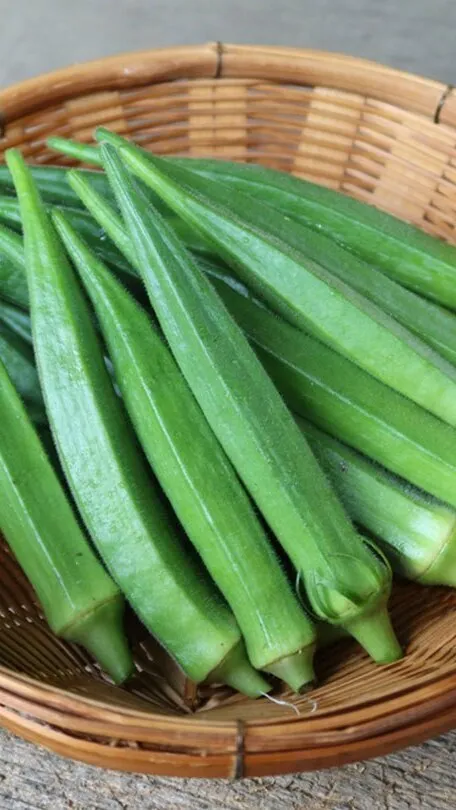 how to make okra water video