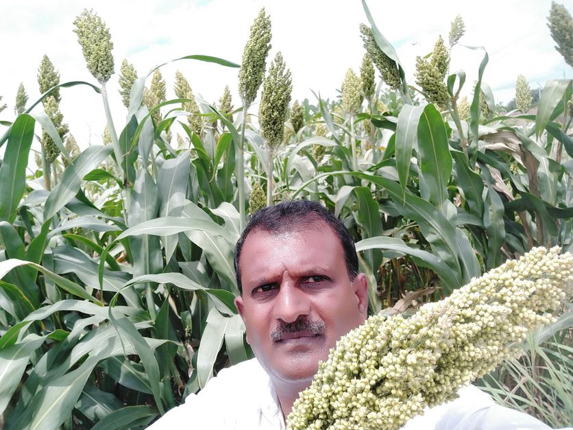 From truck driver to millet millionaire, how this Telangana farmer ...