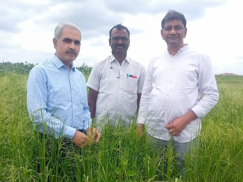 Andhra farmer sets up multi-crore millet business; helps 1500 growers ...
