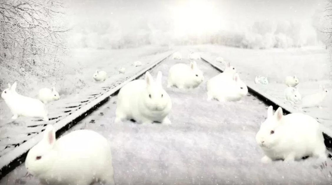 இந்த படத்துல எத்தனை முயல் இருக்கு? 10 நொடிகளில் கண்டுபிடிச்சா நீங்க பலே ...