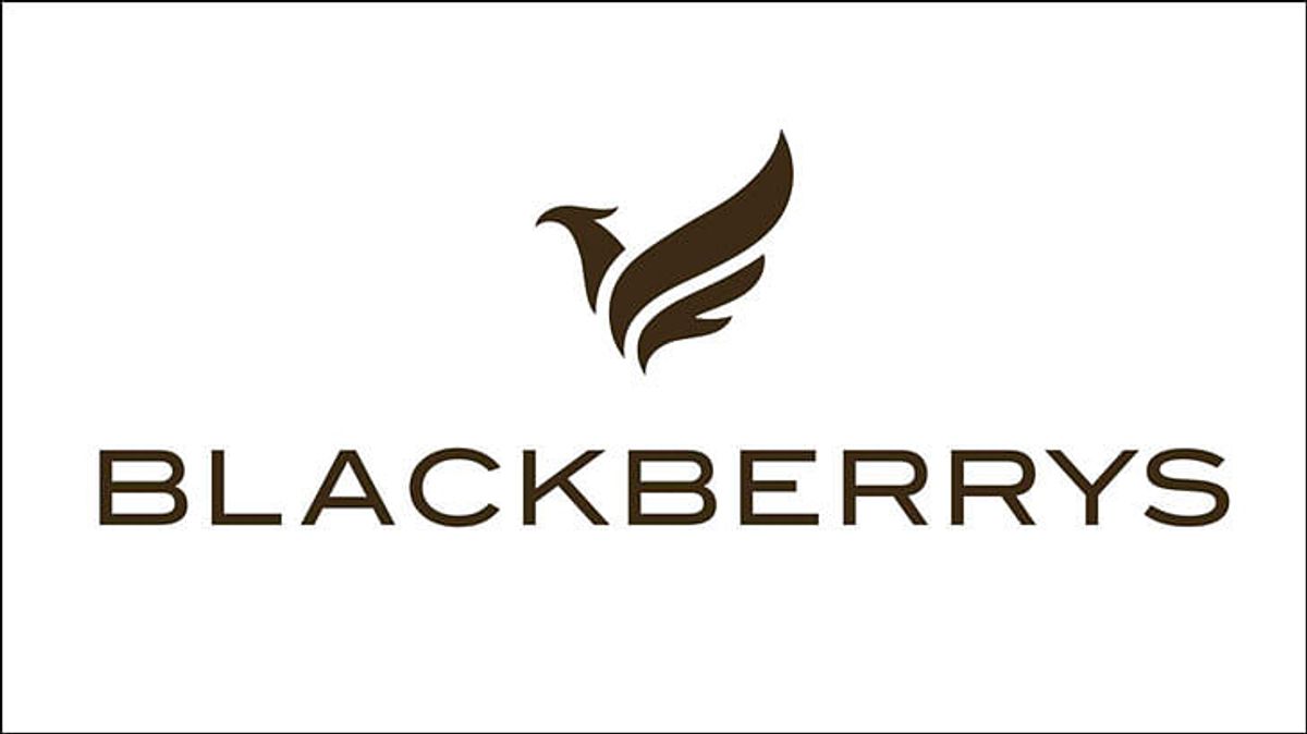Blackberrys unveils new brand vision and identity