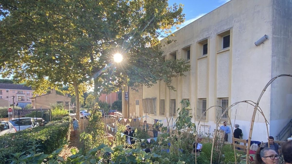 A Model for Urban Food Transformation – Green Reporter