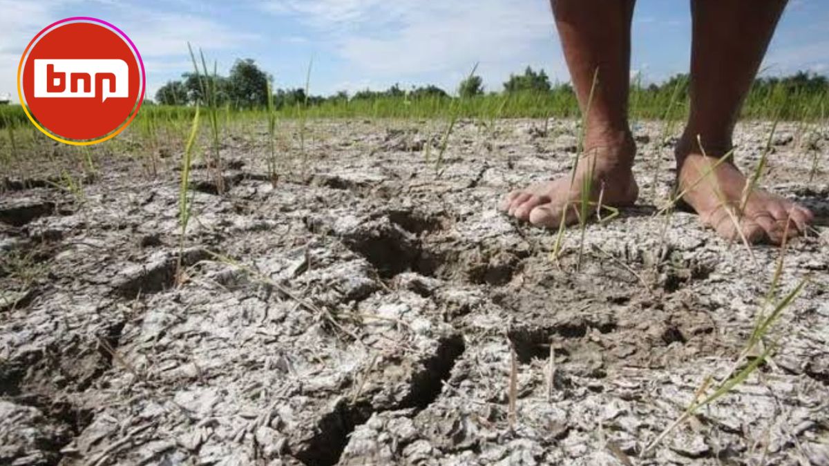 Philippines raises El Niño Alert status as phenomenon expected to emerge in June