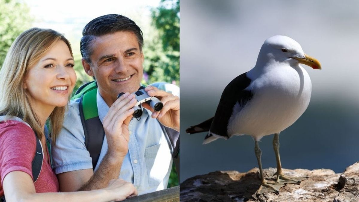 The 'Bird Test': A New Approach to Evaluating Relationships