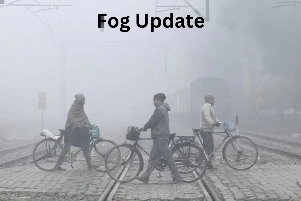 Fog Update: IMD predicts visibility dip in THESE cities, Know how you ...