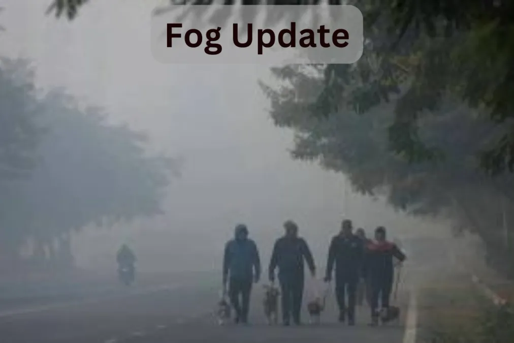 Fog Update: Brace yourself ! IMD predicts dense fog in Delhi & Amritsar ...