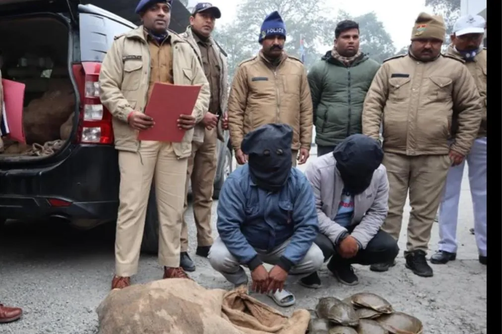 Uttarakhand: 293 turtles rescued, 2 arrested as police exposes wildlife ...