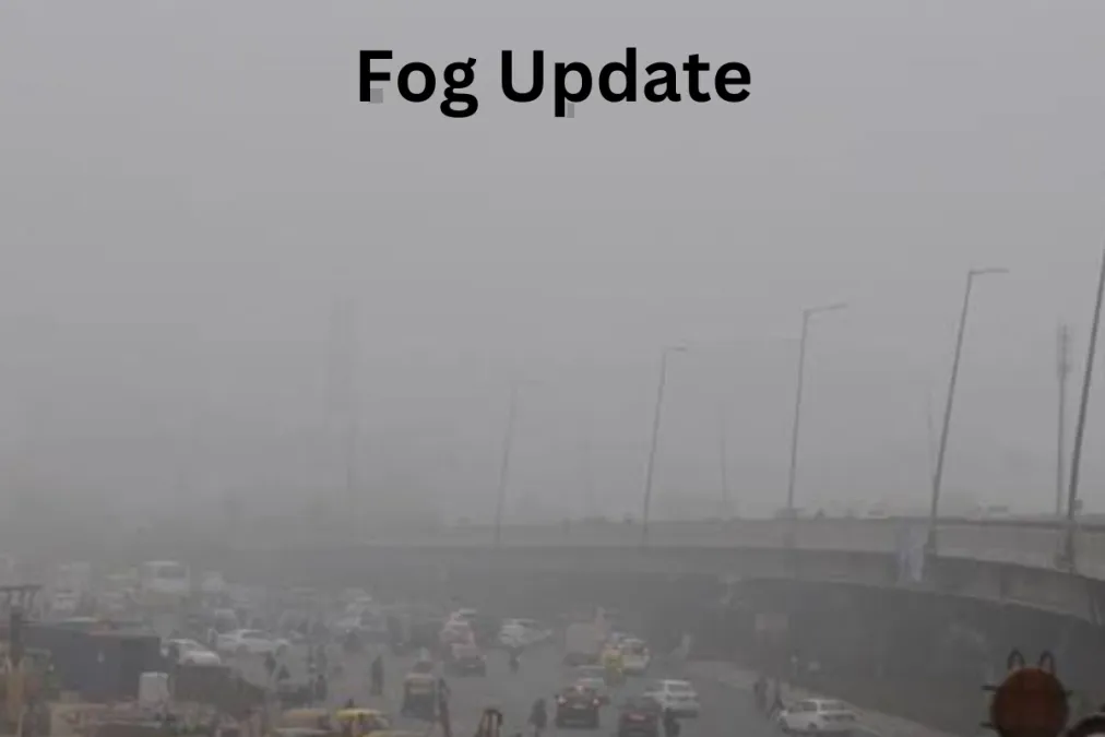 Fog Update: Dense foggy conditions to disrupt movements across North ...