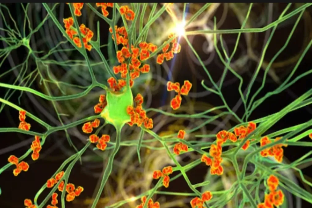 Peru declares national emergency due to Guillain Barre syndrome