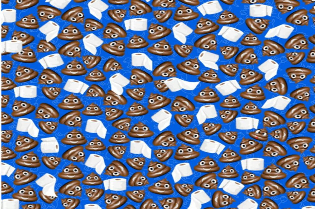 Optical Illusion: Test Your Observation Skills! Find the Sneaky Poop ...