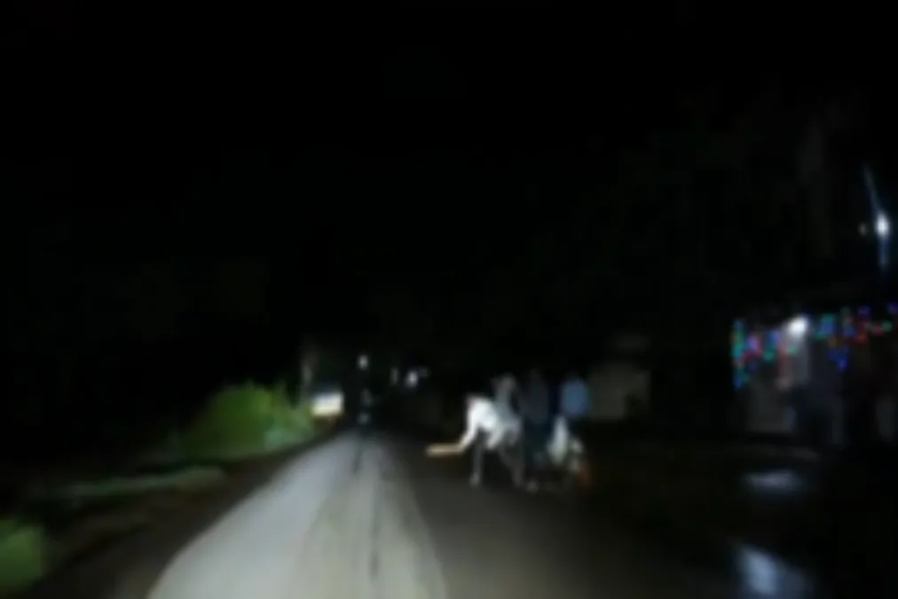 Viral Video: Horrific Road Rage! Pune Family Faces Mob of 40, Members ...