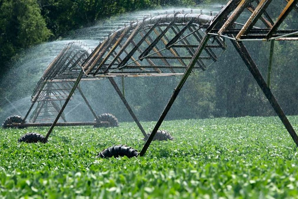Smart irrigation: How IoT-driven precision agriculture helps feed the ...
