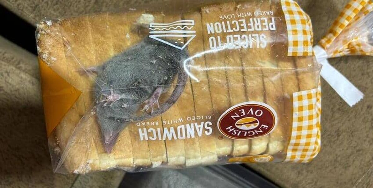 Blinkit Delivers Live Rat in Bread: Here’s What Other Customers Claim ...