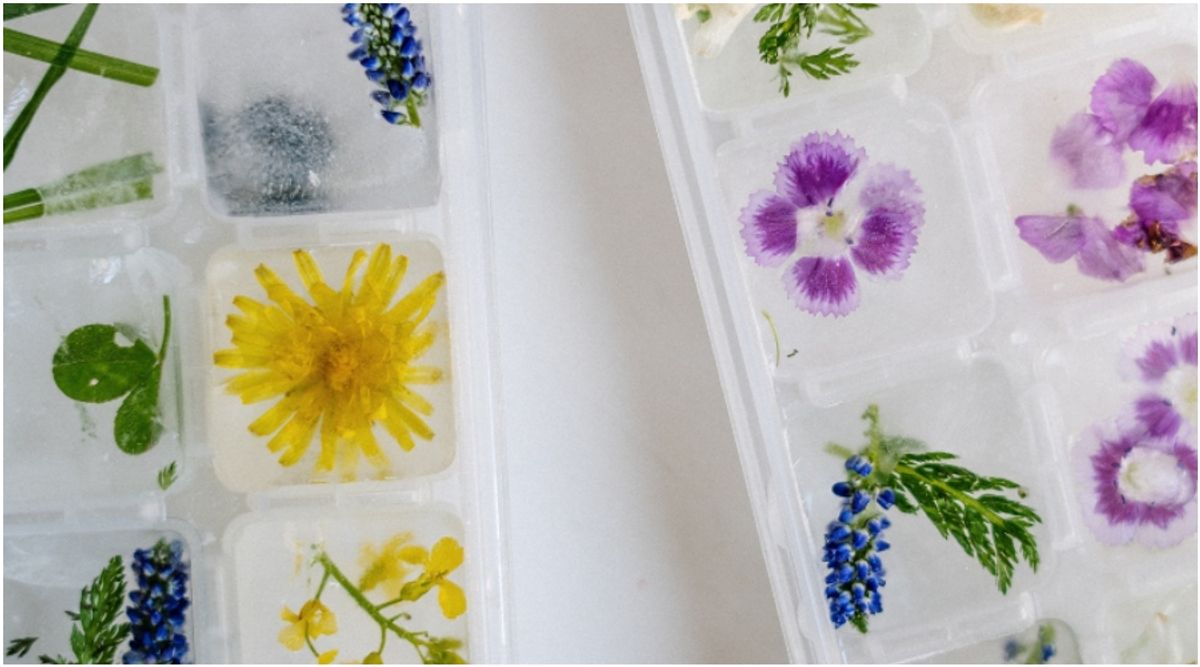 Everything You Need To Know About Skin Icing