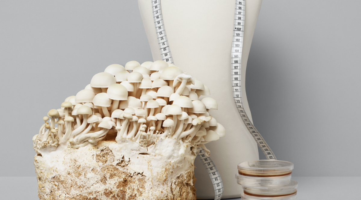 Are Clothes Made From Mushrooms, Bacteria And Yeast The Way Forward For ...