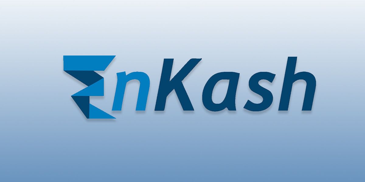 EnKash operating revenue jumps 5.8X to Rs 20 Cr in FY20