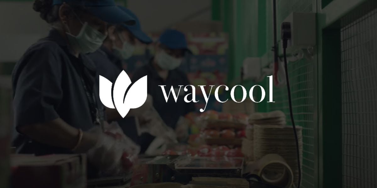 WayCool emerges as the largest agri supply chain startup with Rs 273 Cr ...