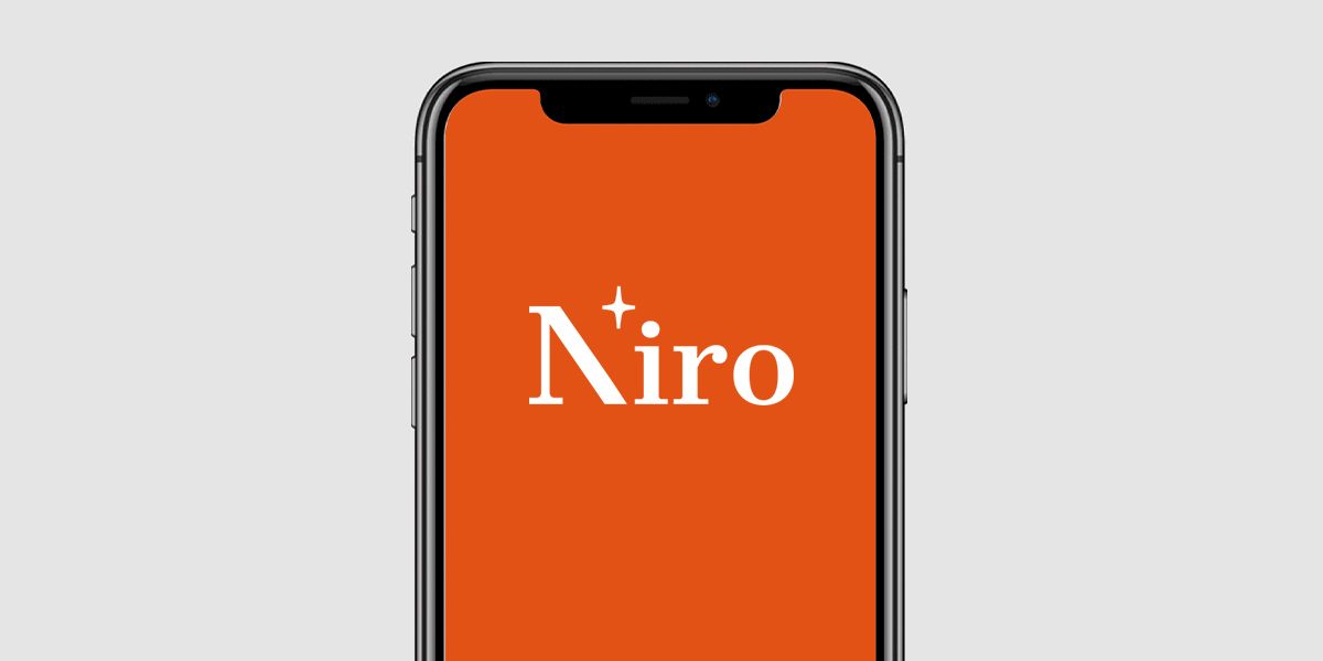 Lending platform Niro raises $11 Mn in Series A