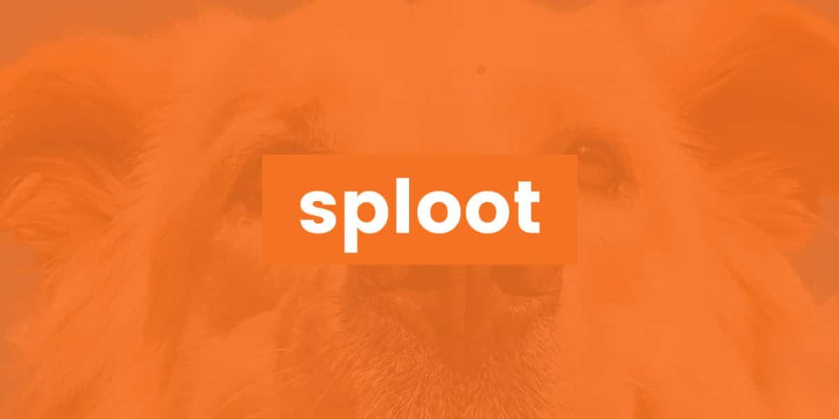 Sploot raises $800K in seed round from Info Edge and others