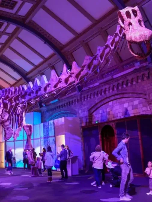 Argentine Scientists Unearth One Of The Largest Long Necked Dinosaur