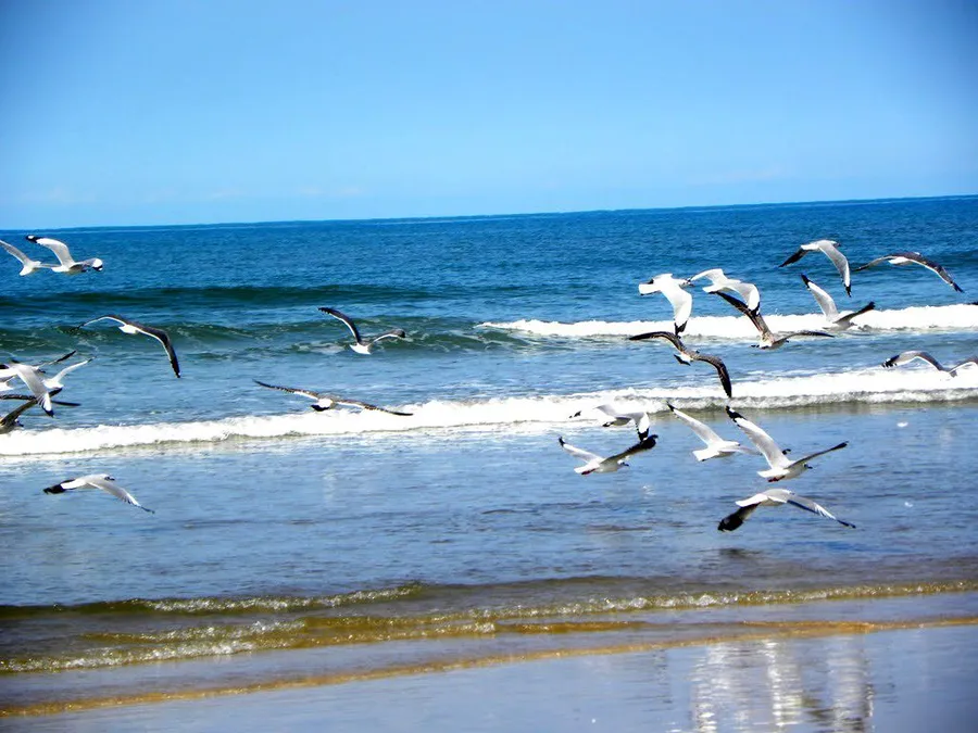 Off-beat Places in Gujarat