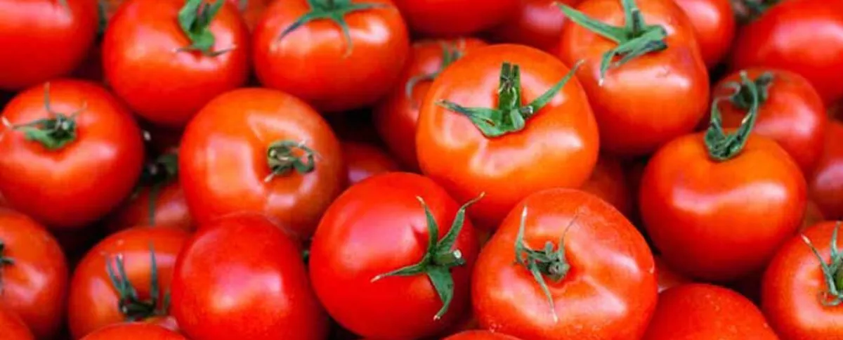 Tamato On Face : टमाटर को चेहरे पर लगाने के 5 फ़ायदे