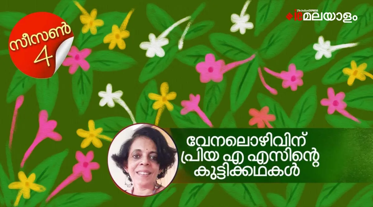 നാലുമണിപ്പൂ ഡാന്‍സ്