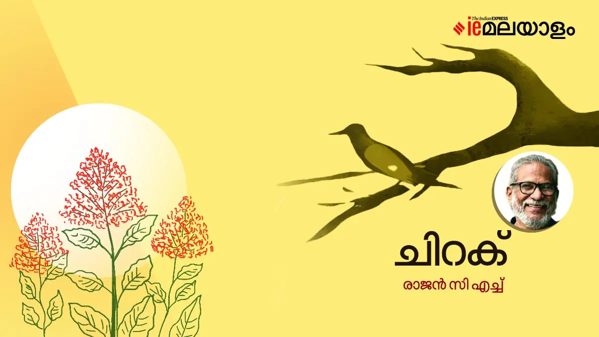 ചിറക്-രാജന്‍ സി എച്ച് എഴുതിയ കവിത