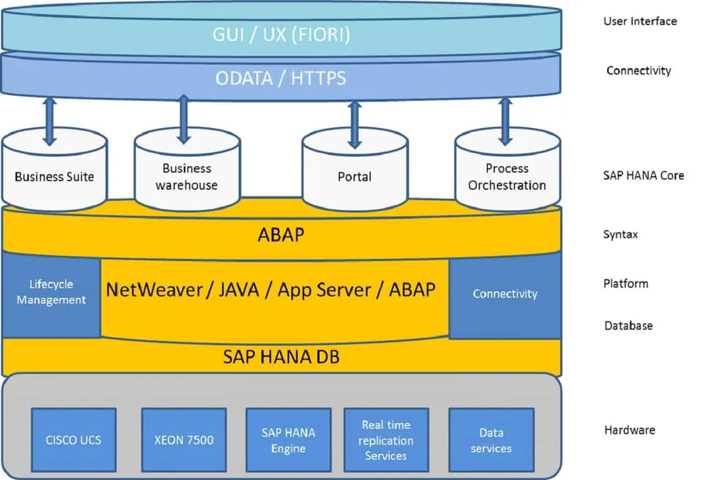 SAP S/4HANA | Know About the Technology in Detail
