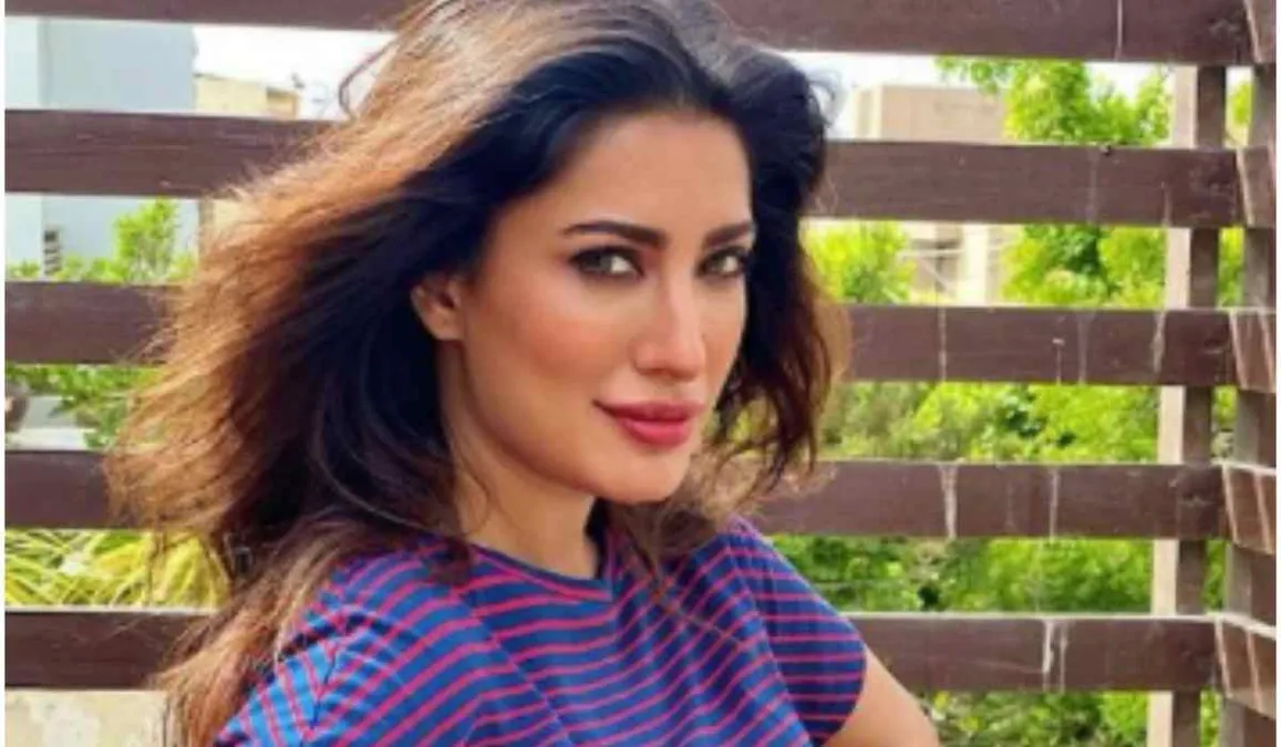 Who Is Mehwish Hayat? Actor Calls Out Bollywood's ‘Deafening Silence ...
