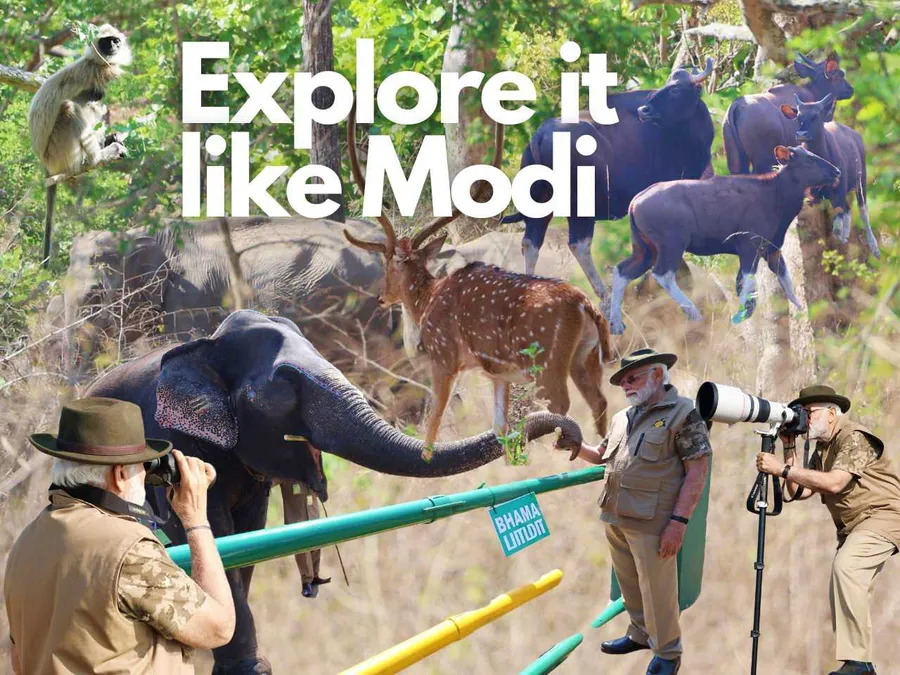 PM Modi Embarks on Thrilling Tiger Safari Adventure