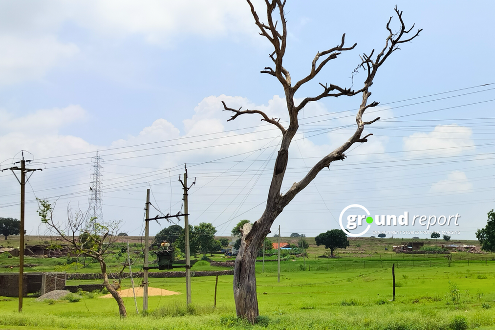 Weather changes in Madhya Pradesh, temperature drops and light rain