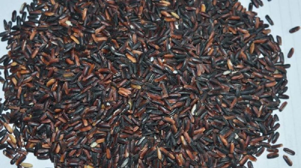Benefits Of Black Rice: ब्लैक राइस खाने से यह होते हैं फायदे