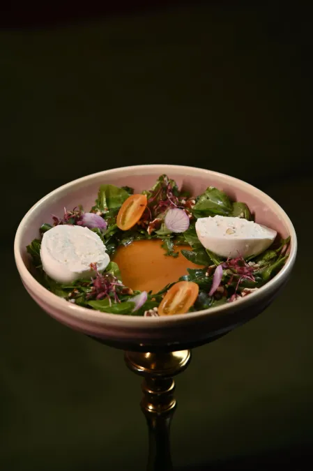 Unveiling The Swinton House, Pink City’s newest exquisite address ...