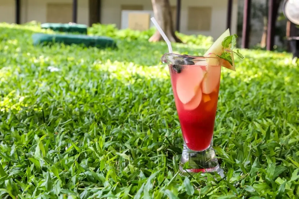 Indulge in Beachside Sangria Soiree at Taj Fisherman’s Cove Resort ...