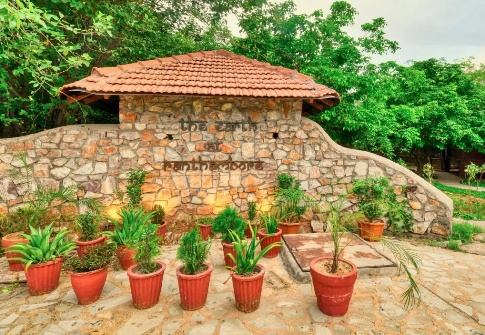 Unveiling The Earth at Ranthambore's Exclusive Summer Experiences