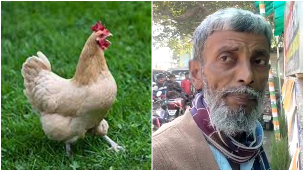 তাড়া করে মুরগি মারল হাঁস, ভাইপোকে কাঠগড়ায় তুলে সটান থানায় চাচা