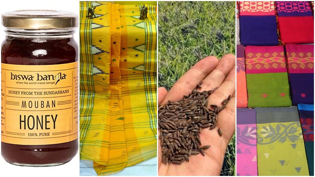 GI TaG: ফের ভারতে সেরার সেরা বাংলার সম্পদ, রাজ্যের পঞ্চরত্ন পাচ্ছে জিআই ...