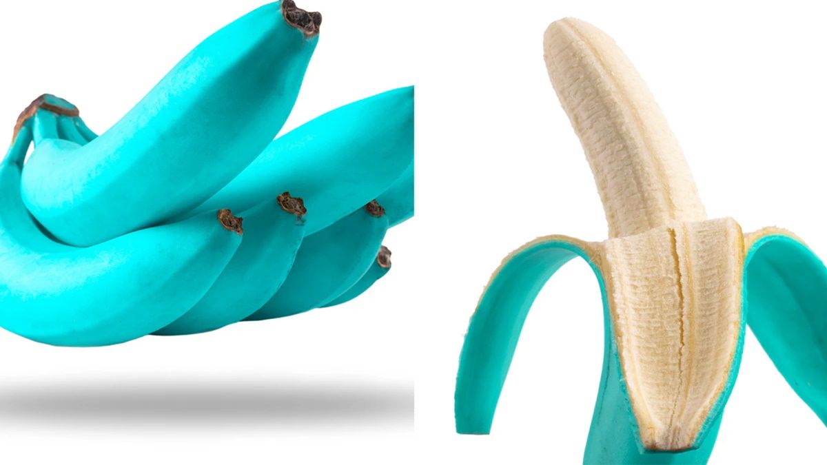 Blue java banana: ব্লাড প্রেসার থাকবে আপনার বশে, ক্যানসার ধারে কাছে ...