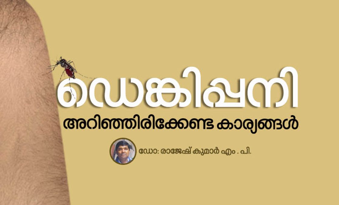 ഡെങ്കിപ്പനി: ലക്ഷണങ്ങൾ, ശ്രദ്ധിക്കേണ്ട കാര്യങ്ങൾ, മുൻകരുതലുകൾ