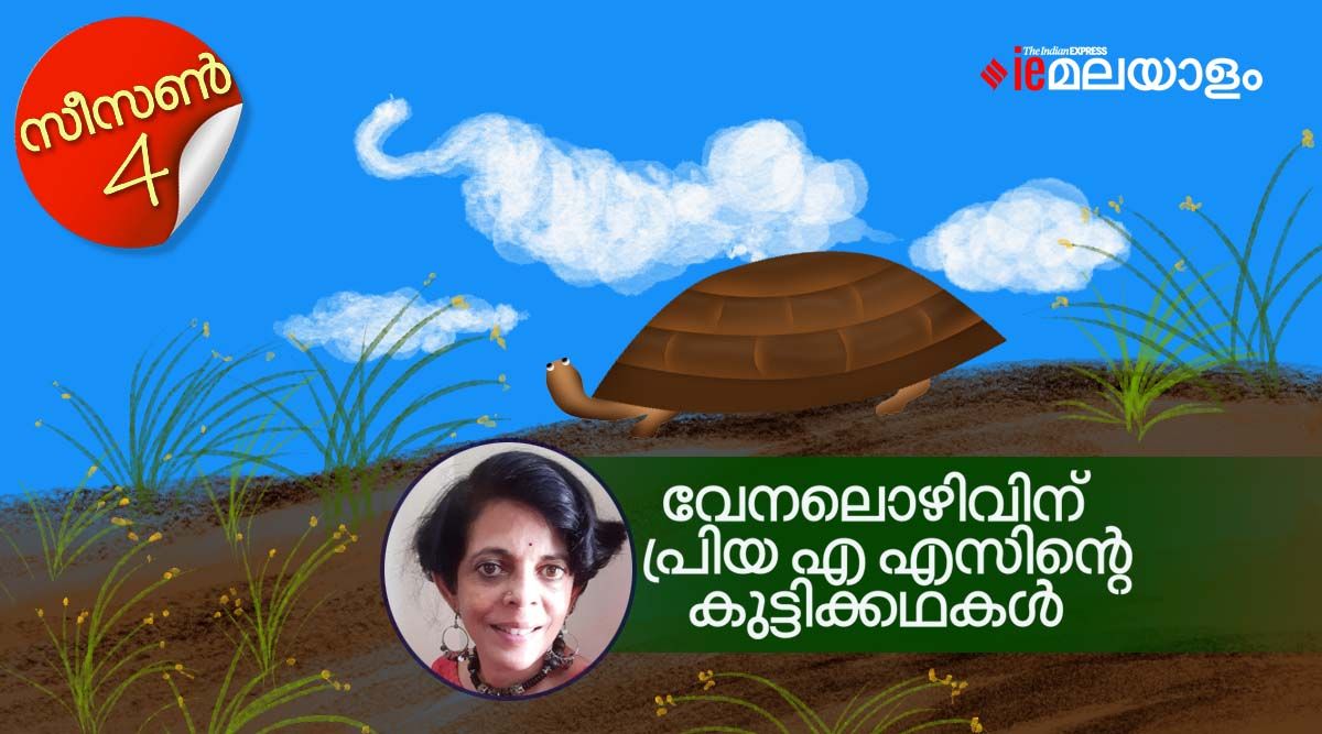 ആമക്കുട്ടനും ചില പേടികളും