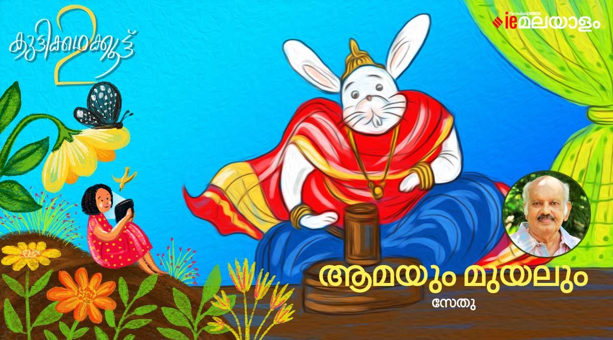 ആമയും മുയലും
