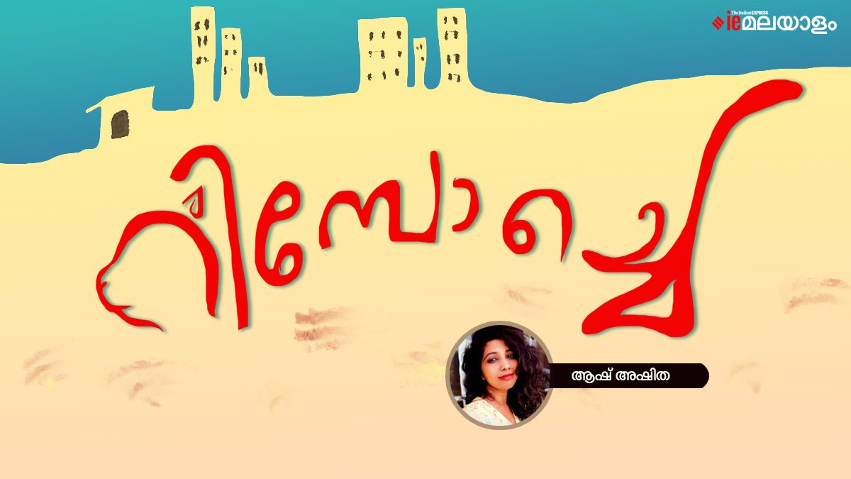 റിമ്പോച്ചെ