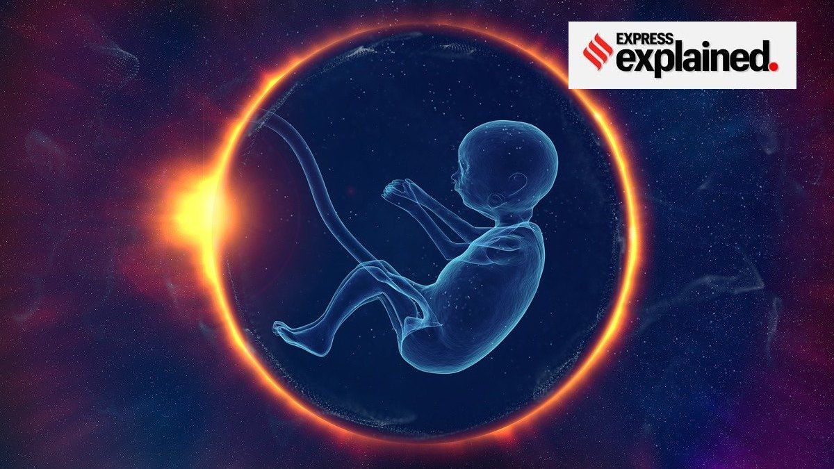 ബീജവും അണ്ഡവും ഇല്ല; ശാസ്ത്രജ്ഞർ മനുഷ്യ ഭ്രൂണത്തിന്റെ മുഴുവൻ മാതൃകയും ...